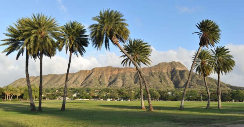 Oahu: Diamond Head Hike with Roundtrip Transportation - Authentic Experiences from Other Travelers