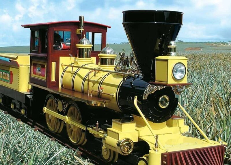 Oahu: Dole Plantation & Haleiwa Express Deluxe Tour - What Travelers Say