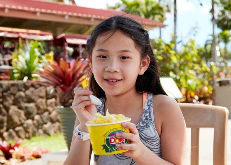 Oahu: Dole Plantation & Haleiwa Express Deluxe Tour - Who Should Consider This Tour?