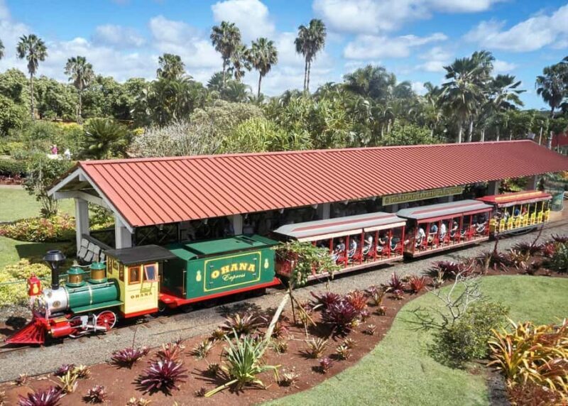 Oahu: Dole Plantation & Haleiwa Express Deluxe Tour - FAQs