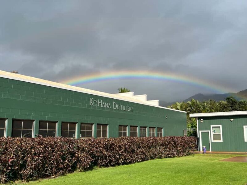 Oahu: Dole Plantation, Rum Tasting, and 3 Zipline Tour - A Practical and Enjoyable Day in Oahu