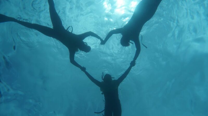 Oahu Dolphin Watch, Turtle Snorkel, Waterslide Activities - FAQs
