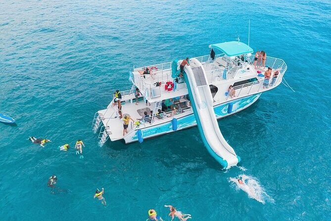 Oahu Dolphin Watch with Turtle Snorkel & Water Slide - Oahu Dolphin Watch with Turtle Snorkel & Water Slide: An Authentic Marine Adventure