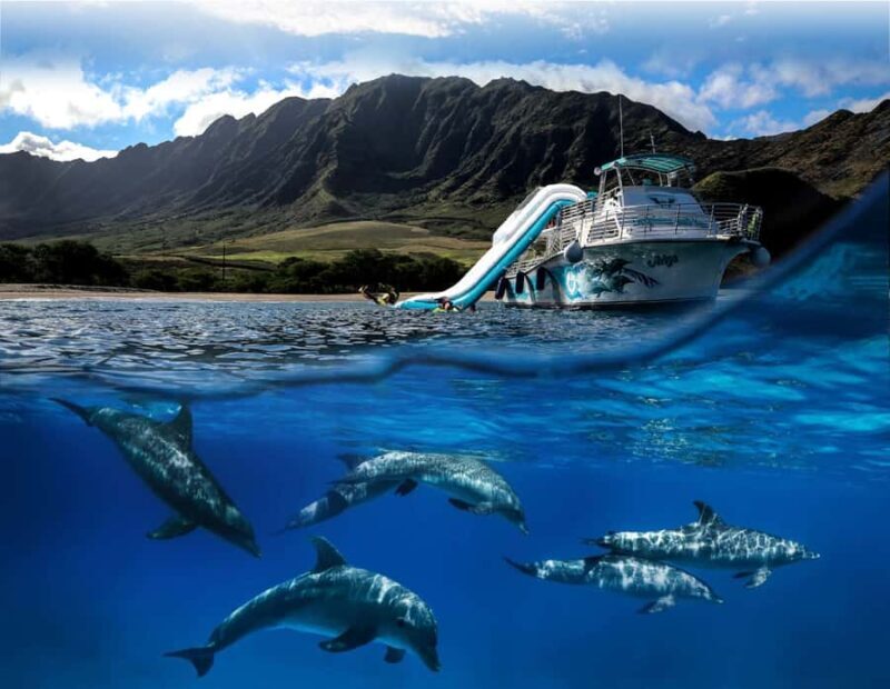 Oahu: Dolphin Watching & Turtle Snorkeling with Waterslide - FAQ