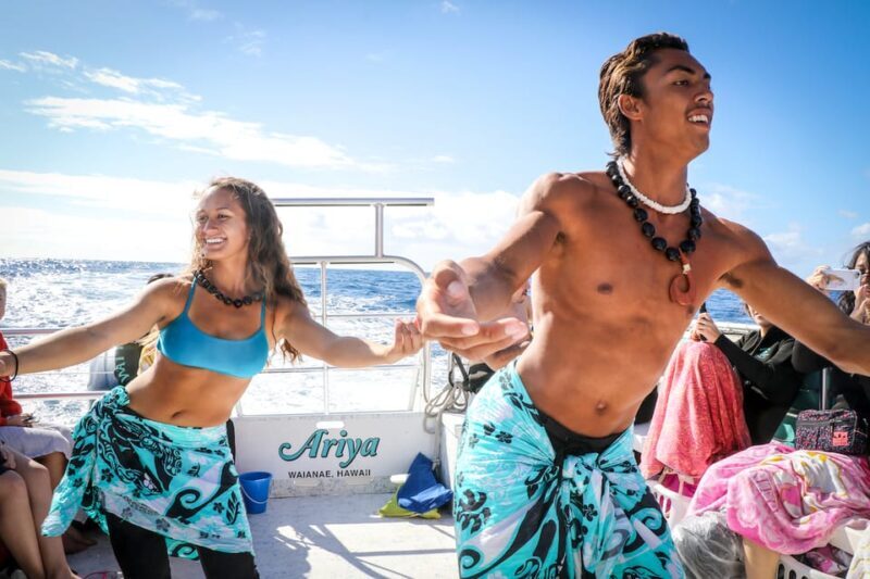 Oahu: Dolphin Watching & Turtle Snorkeling with Waterslide - Authenticity and Guest Feedback