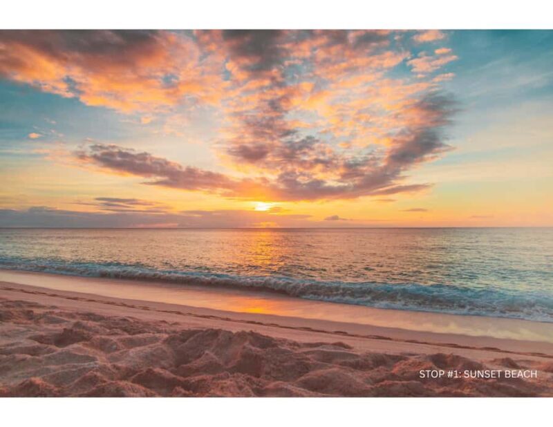 Oahu: Explore North Shore by E-Bike & Snorkel (Self-Guided) - Key Points