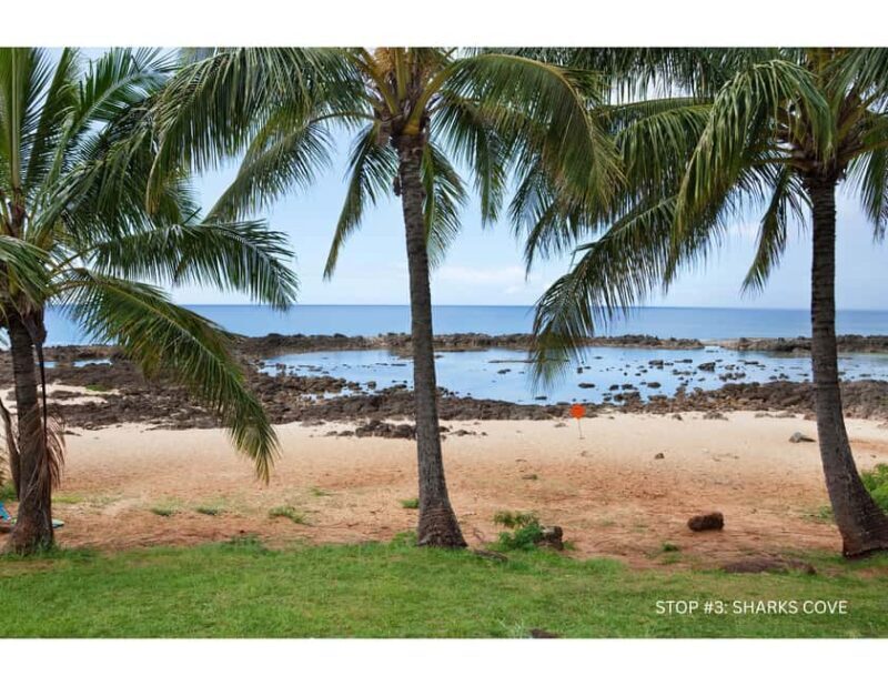 Oahu: Explore North Shore by E-Bike & Snorkel (Self-Guided) - An Honest Look at a Self-Guided North Shore Adventure