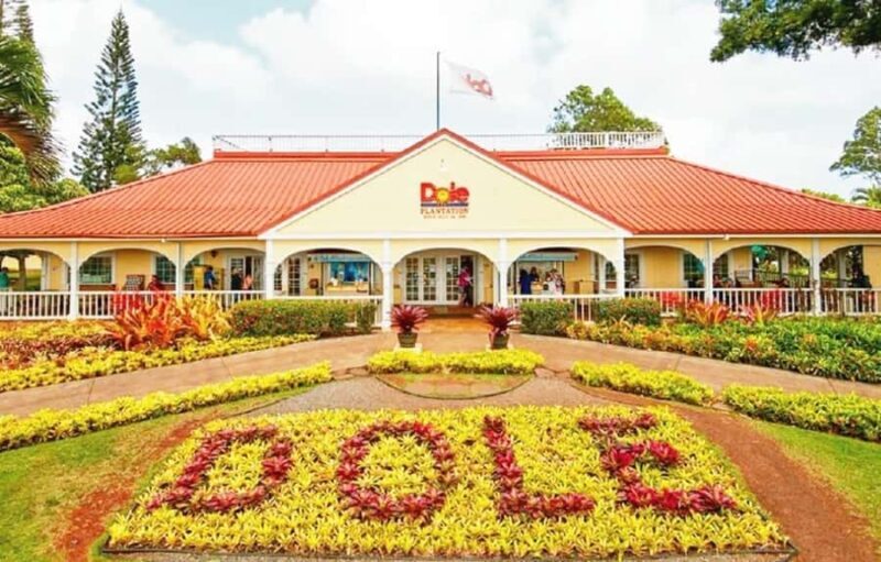 Oahu: Full-Day Tour with Snorkeling, Free Wi-Fi & Free Perks - The Balance of Sightseeing, Culture, and Relaxation