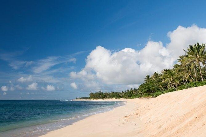 Oahu Grand Circle Island: Discover the Heart & Soul of Hawaii - Who Should Book This Tour?