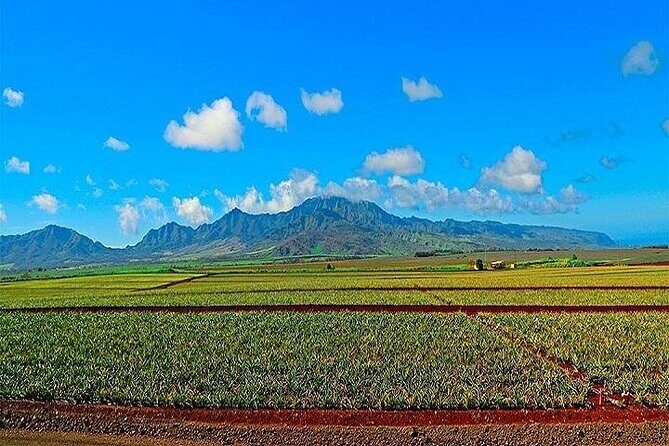 Oahu Grand Circle Island Experience Departing from the Big Island - A Detailed Tour Breakdown