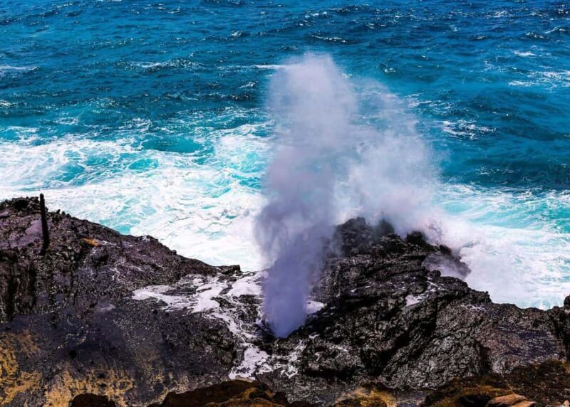 Oahu: Grand Circle Island Tour with Haleiwa - Who Will Love This Tour?