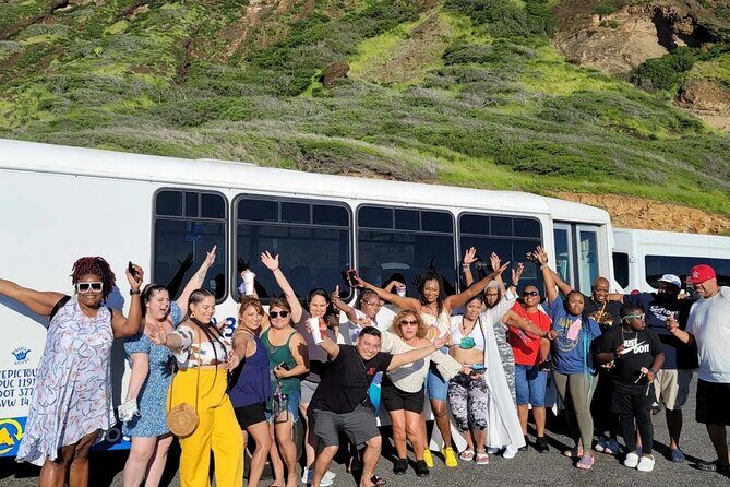 Oahu Guided Circle Island Tour, Swim w/ Turtles, Dole, Blowhole - What the Reviews Say