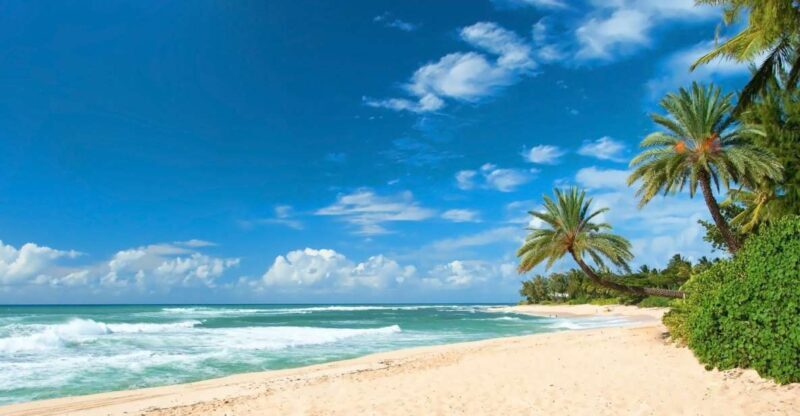 Oahu: Guided Tour of North Shore and Waimea Botanical Garden - FAQ