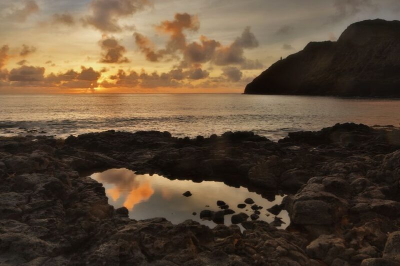 Oahu: Half-Day Sunrise Semi-private Tour from Waikiki - Practical Tips for Participants
