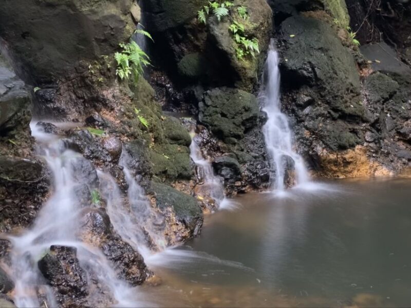 Oahu: Half-Day Sunrise Semi-private Tour from Waikiki - Final Thoughts