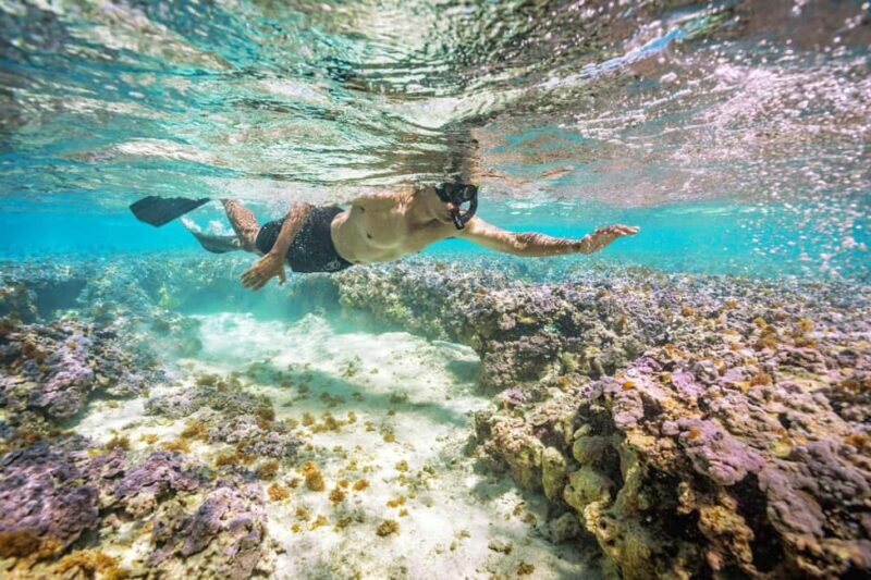 Oahu : Hanauma Bay Admission Ticket+Equipment Rental - Authentic Experiences and Real Traveler Feedback