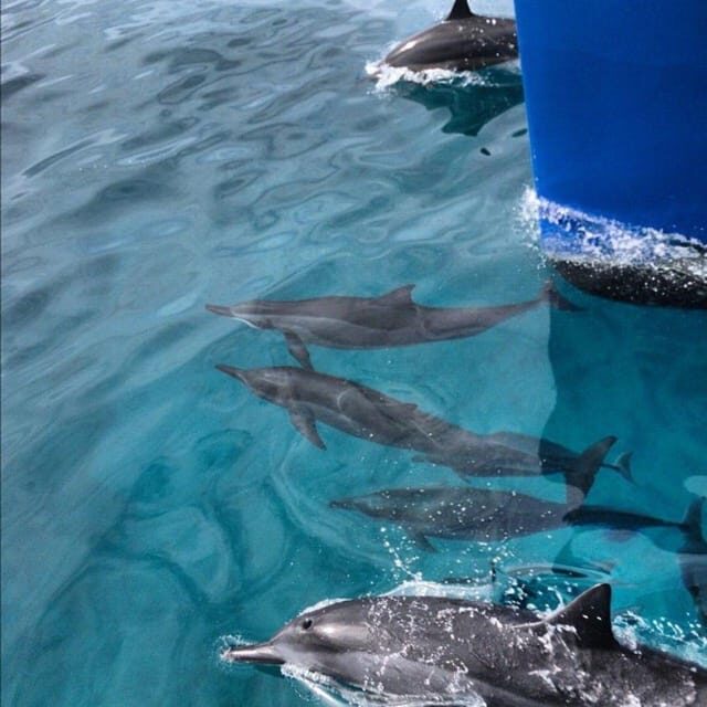 Oahu Hawaii: Honolulu Sailing Tour - Practicalities and Comfort