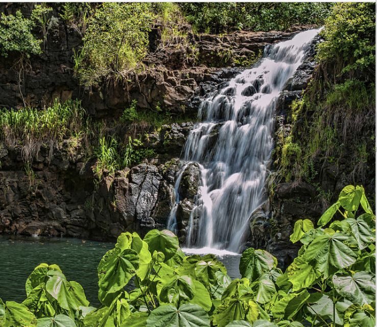 Oahu Hidden Gems & Waimea Botanical Garden/Waterfall tour - What to Expect on the Tour