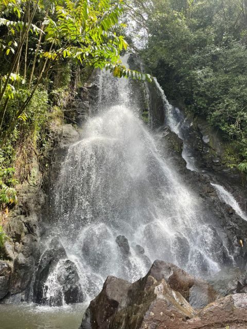 Oahu: Hidden Hawaii Waterfall Hike and Beach Tour - Real Experiences from Travelers