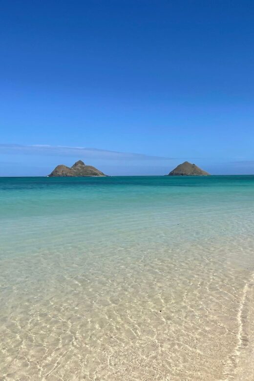 Oahu: Hidden Hawaii Waterfall Hike and Beach Tour - An Intimate Introduction to Hawaii’s Secret Gems