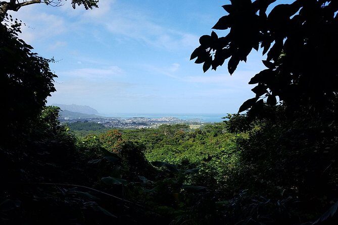 Oahu Hidden Waterfall Hike: A Tropical Paradise Adventure - Practical Tips for a Smooth Experience