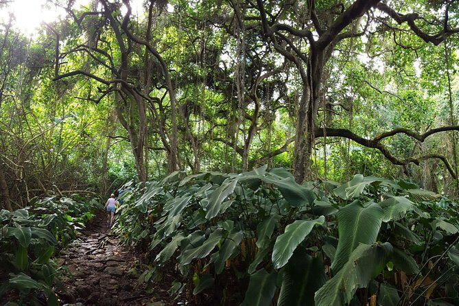 Oahu Hidden Waterfall Hike: A Tropical Paradise Adventure - The Sum Up