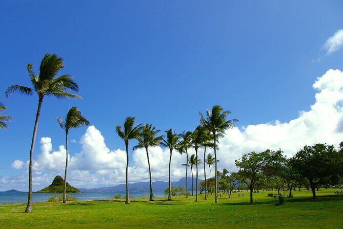 Oahu Highlights Private Guided Tour: Landmarks & Architecture - The Value Proposition