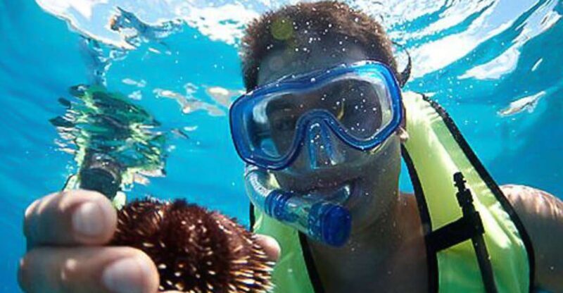 Oahu: Hilton Hawaiian Village Snorkel Tour - Who Should Consider This Tour?