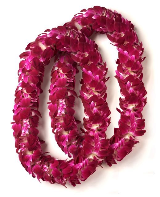 Oahu: Honolulu Airport (HNL) Honeymoon Lei Greeting - Who Will Benefit Most?