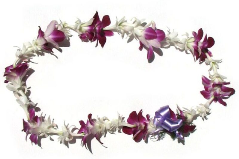 Oahu: Honolulu Airport (HNL) Traditional Lei Greeting - What to Expect