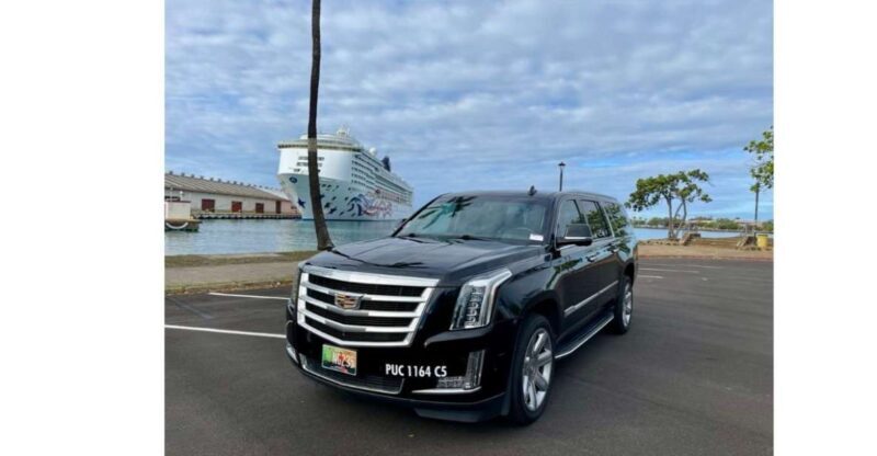 Oahu: Honolulu Harbor Cruise Terminal Transfer - The Experience, Step-by-Step