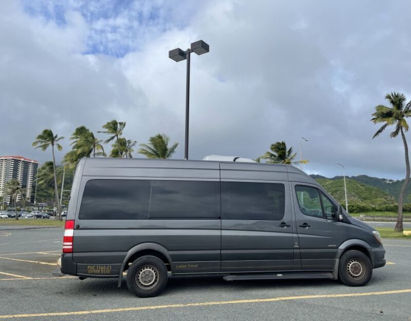 Oahu: Honolulu Harbor Cruise Terminal Transfer - Who Will Get the Most Out of This Service