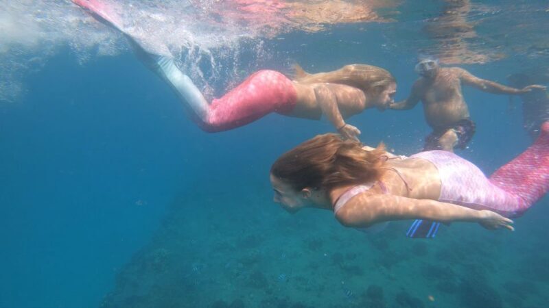 Oahu: Honolulu Mermaid Snorkel Adventure with Videos - Who Should Consider This Tour?