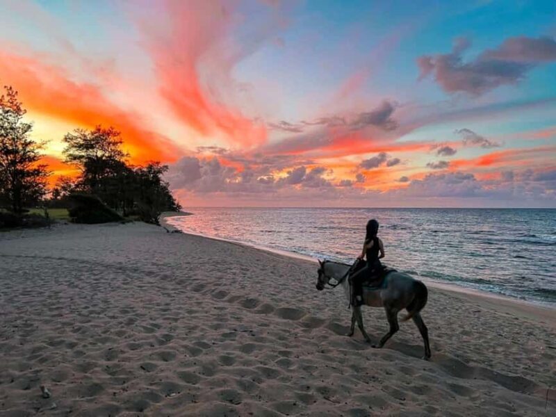 Oahu: Horseback Riding Tour on the North Shore - A Scenic Ride with Authentic Hawaiian Charm