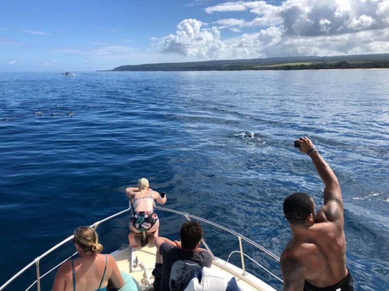 Oahu: Humpback Whale Watching Tour - What You Can Expect from This Whale Watching Tour