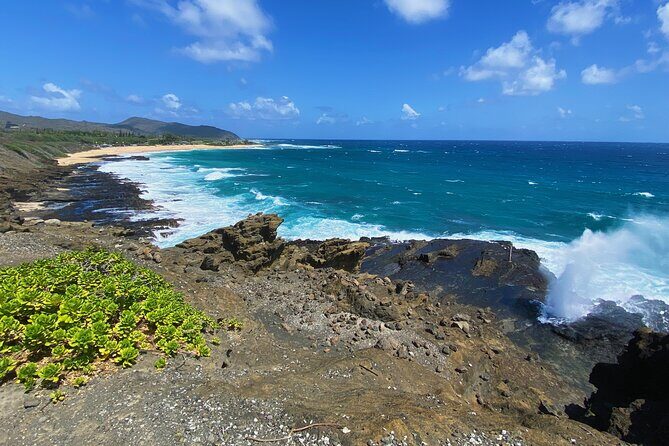 Oahu Island Experience feat the North Shore (Small Group Tour) - Beaches & Surfing Watching