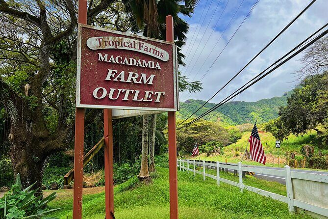 Oahu Island Experience feat the North Shore (Small Group Tour) - Guides & Commentary