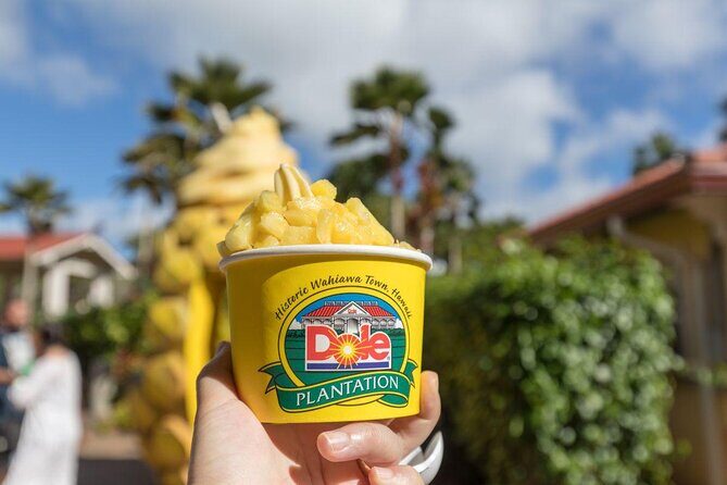 Oahu Island Full-Day Sightseeing Tour - Key Points