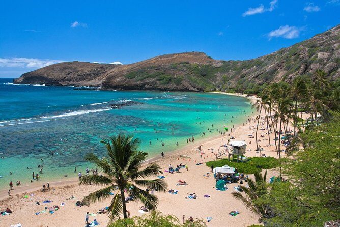 Oahu Island Full-Day Sightseeing Tour - Considerations and Practical Tips
