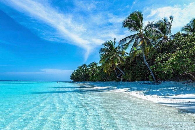 Oahu Island Highlights in Small Group | 30 Spots | ~10 Stops - An In-Depth Look at the Itinerary