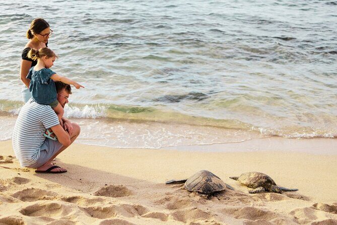 Oahu Island Highlights in Small Group | 30 Spots | ~10 Stops - Real Traveler Feedback