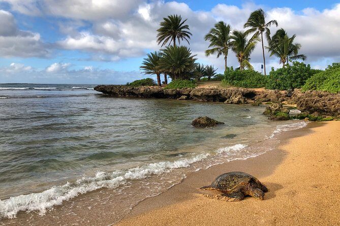 Oahu Island Photography Tour - Summary: Who Is This Tour Best For?