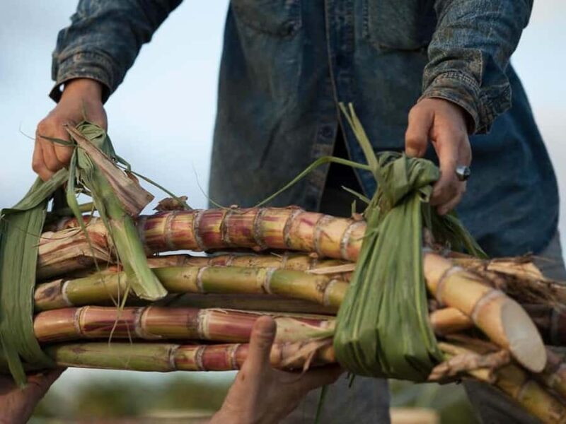 Oahu: K Hana Agricole Rum Distillery Tour and Tasting - Who Should Consider This Tour?