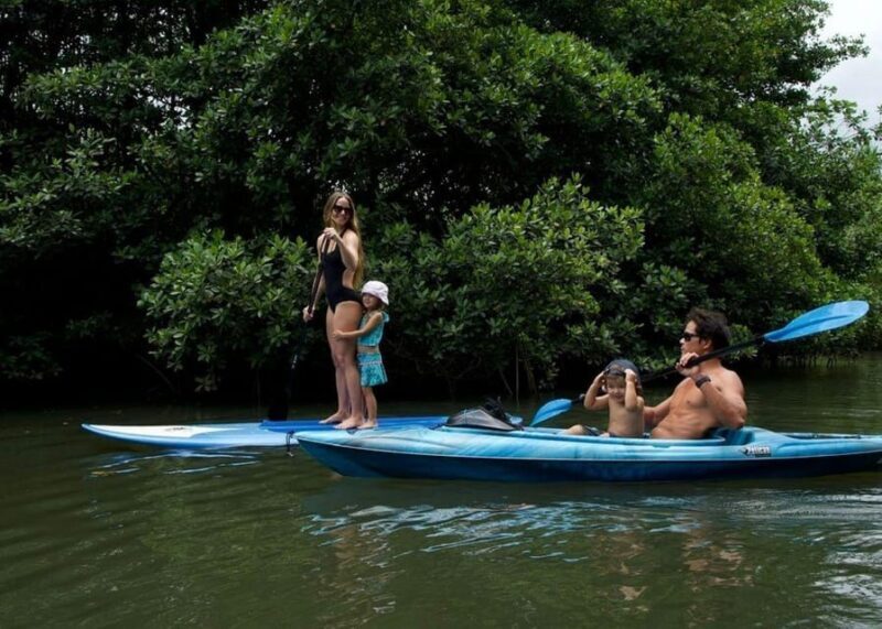Oahu: Kahana River Stand-Up Paddleboard Rental - Who Should Consider This Tour?