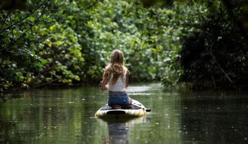 Oahu: Kahana River Stand-Up Paddleboard Rental - A Final Word of Caution