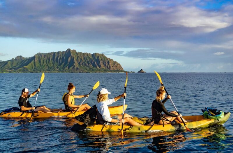 Oahu: Kaneohe Bay Coral Reef Kayaking Rental - The Sum Up: Who Should Consider This Kayaking Experience?