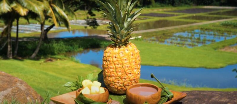 Oahu: Kualoa Farm and Secret Island Tour by Trolley - Who will love this tour?
