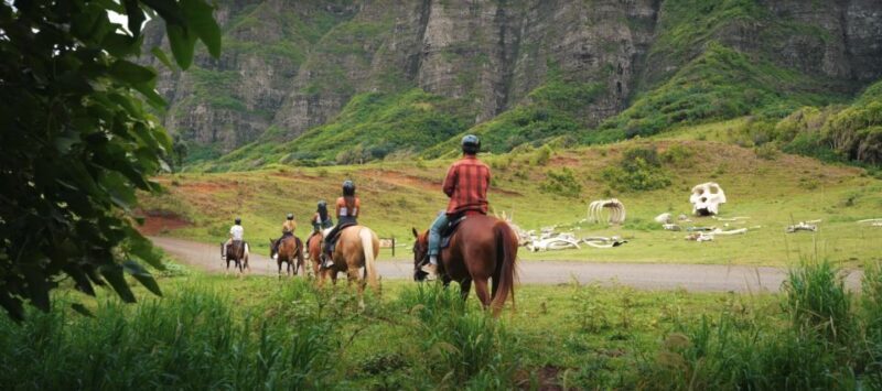 Oahu: Kualoa Hills and Valleys Horseback Riding Tour - Who Will Love This Tour?