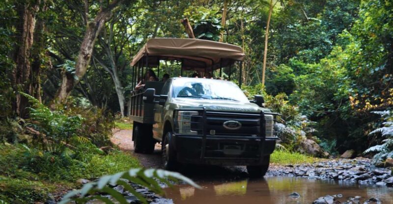 Oahu: Kualoa Open Air Jungle Expedition Tour - Key Points
