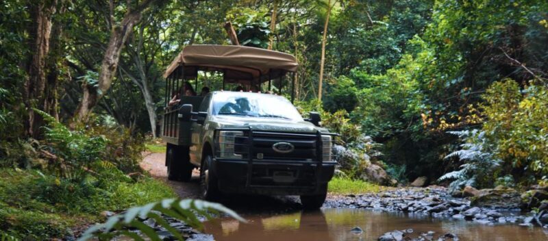Oahu: Kualoa Open Air Jungle Expedition Tour - Practical Details for Travelers